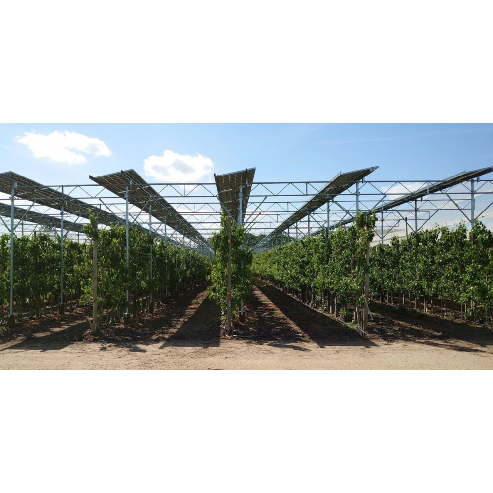 New bifacial agrivoltaic solar panels from Greece - Setpile
