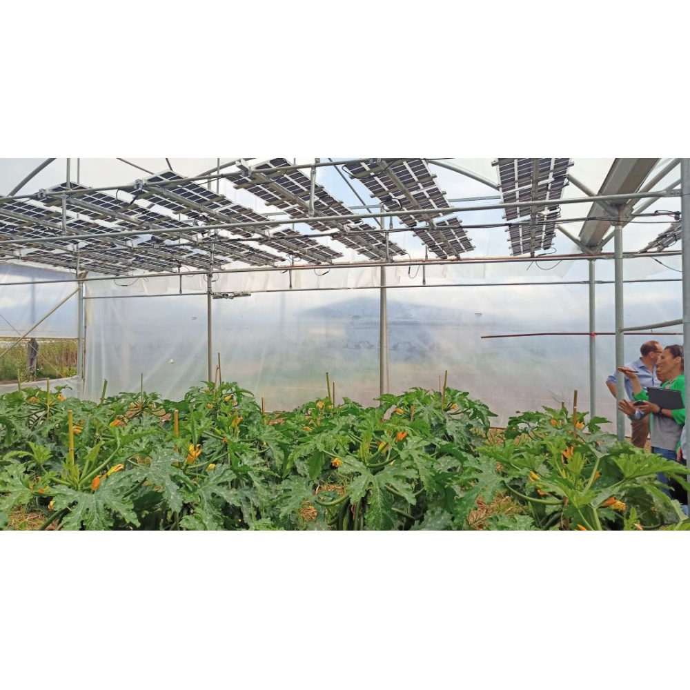 Crop-responsive PV tracking system for greenhouses - Setpile