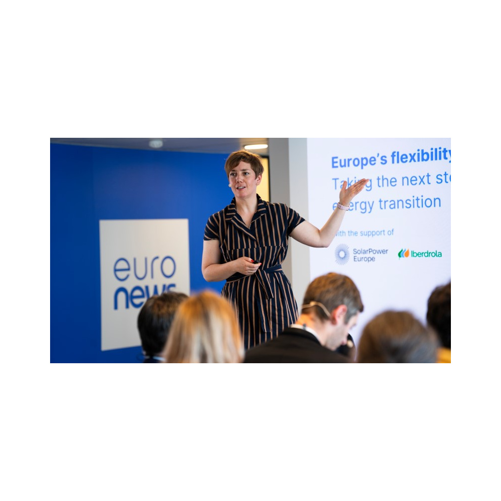 Renewables, grid flexibility could lead to electricity price drop of 25 ...