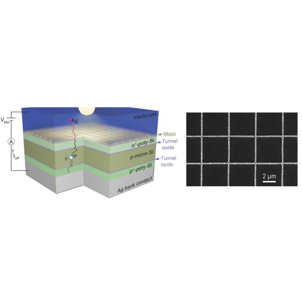 Fraunhofer ISE, AMOLF unveil TOPCon solar cell based on metal nanowire ...