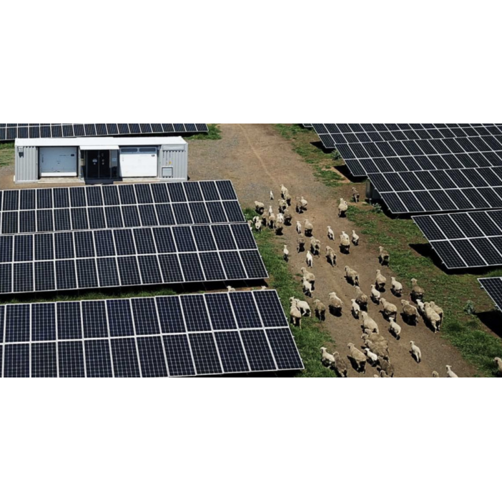 Agrivoltaic systems improve farming in arid regions, say Australian ...