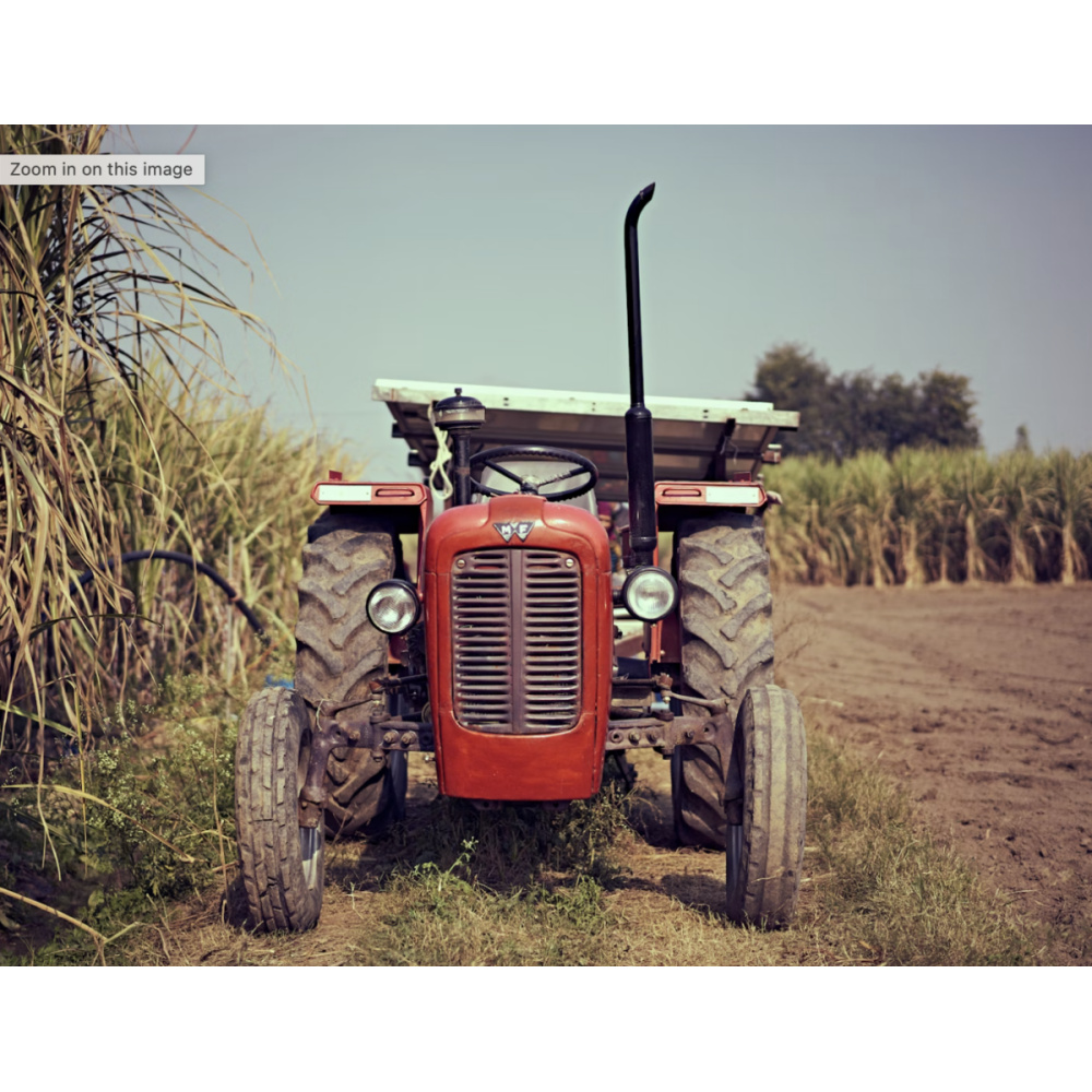 Indian state utility to deploy 1.07 GW of solar for irrigation - Setpile